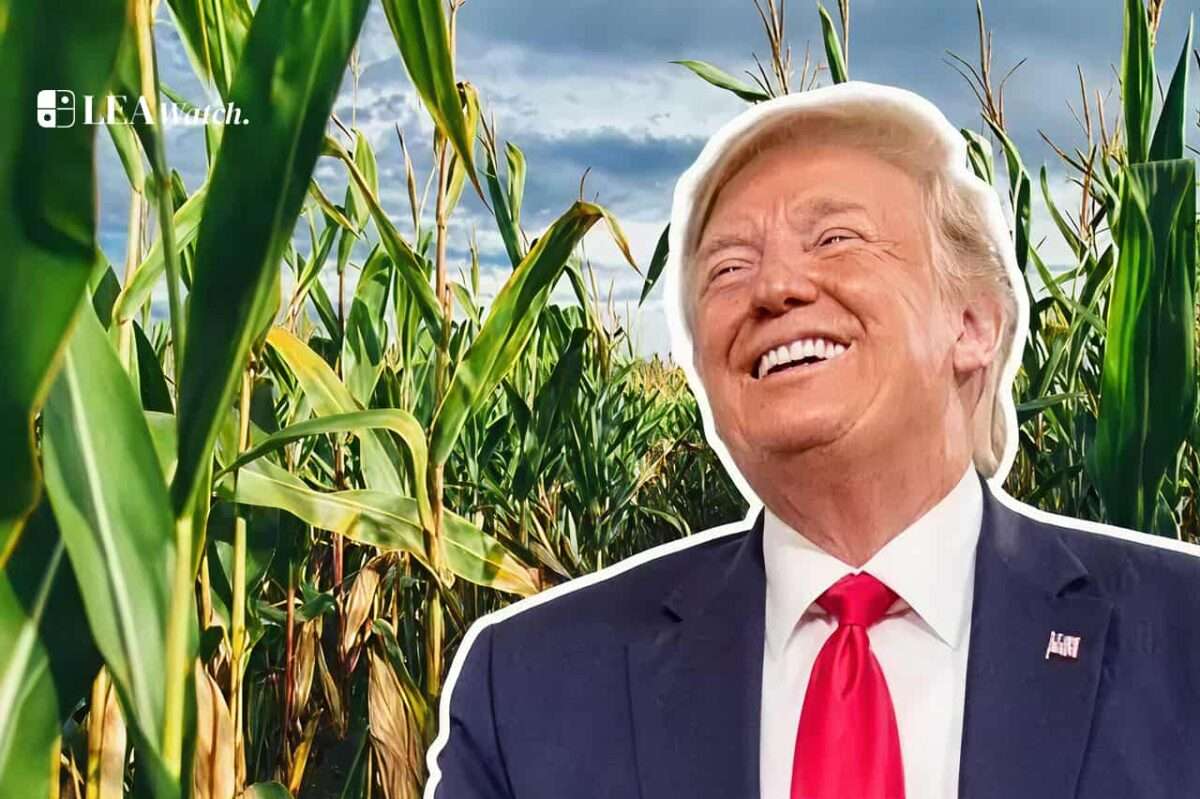 Why Corn Matters More Than Russian Oil for the U.S. in India - LEA ...